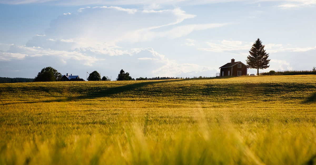 A Brief Guide to Agricultural Tenancies