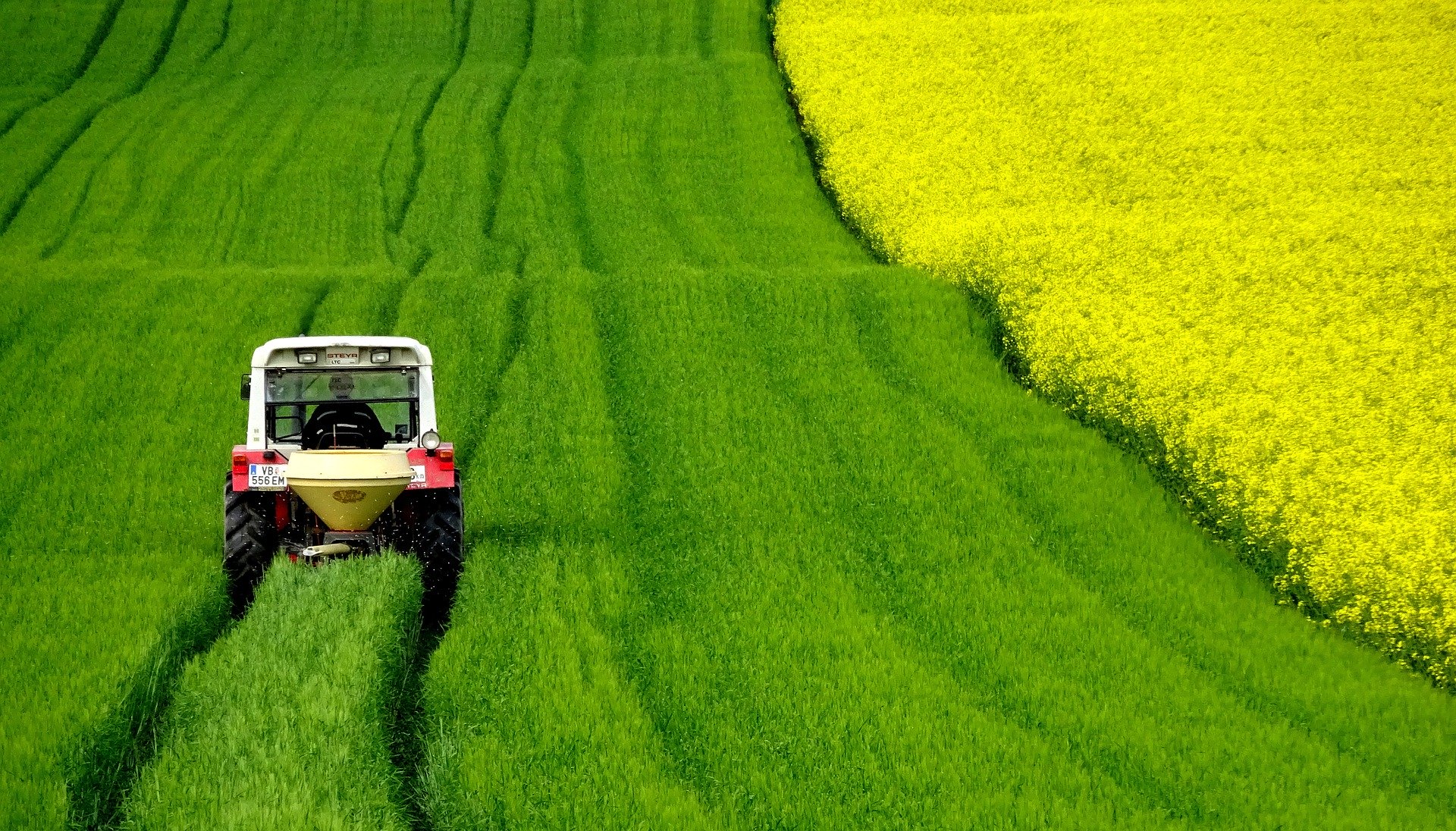 A Brief Guide to Agricultural Tenancies