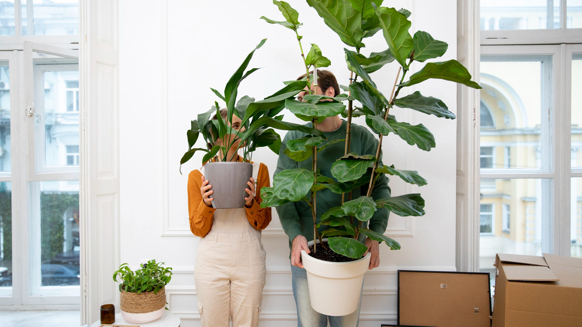 Joint Property Ownership – how does it work? Solicitors Guide